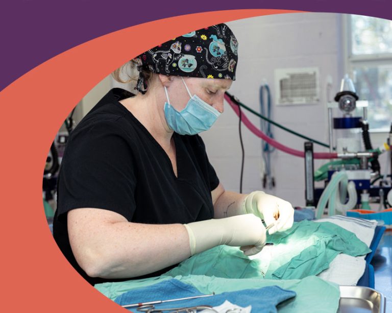 Spay & Neuter Clinic | Gulf Coast Humane Society